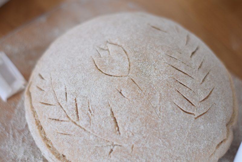 Ancient Grains: Einkorn vs Emmer Flour - the Haven of Rest