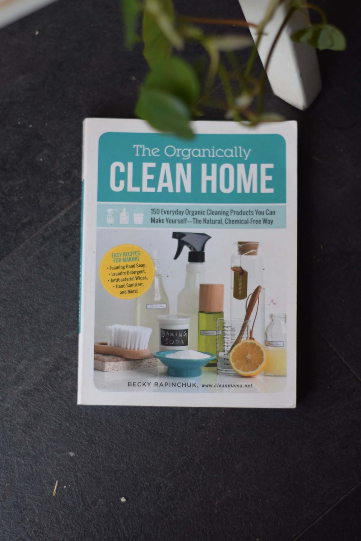 Best Books to Read for the Homemaker - the Haven of Rest