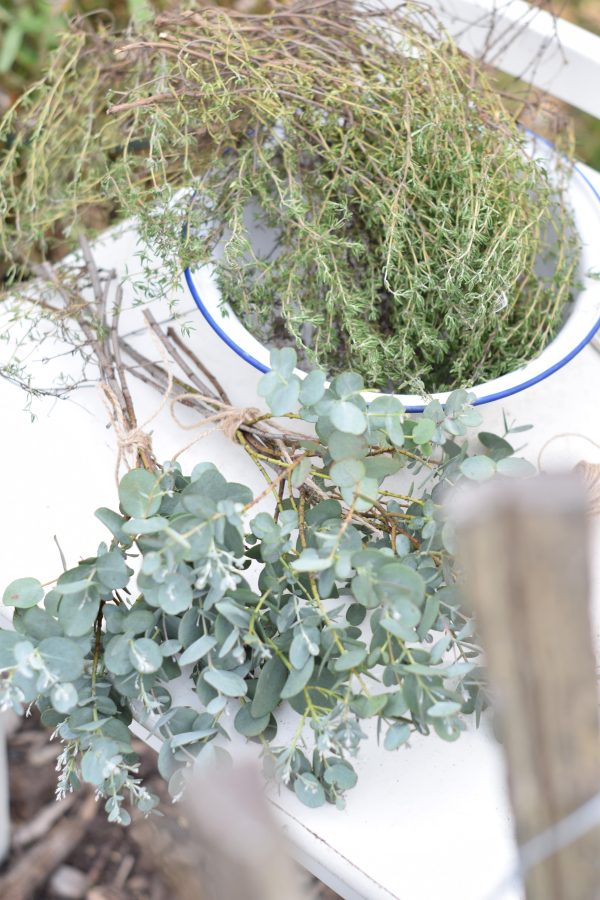 The best Herbs and Flowers to Drow and Dry - the Haven of Rest