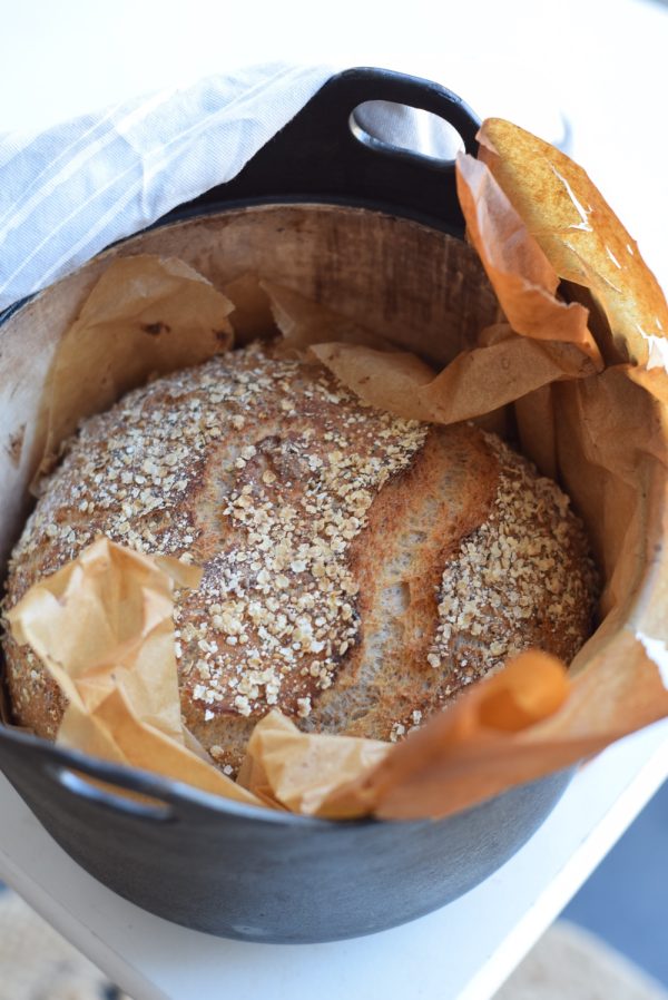 Ancient Grains: Einkorn vs Emmer Flour - the Haven of Rest