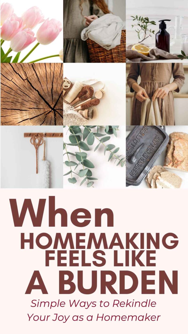 Finding Joy as a Homemaker: Practical Tips for a Happy, Joyful Home ...